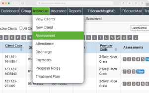 Comprehensive Assessments for Effective Treatment Planning - Therasoft